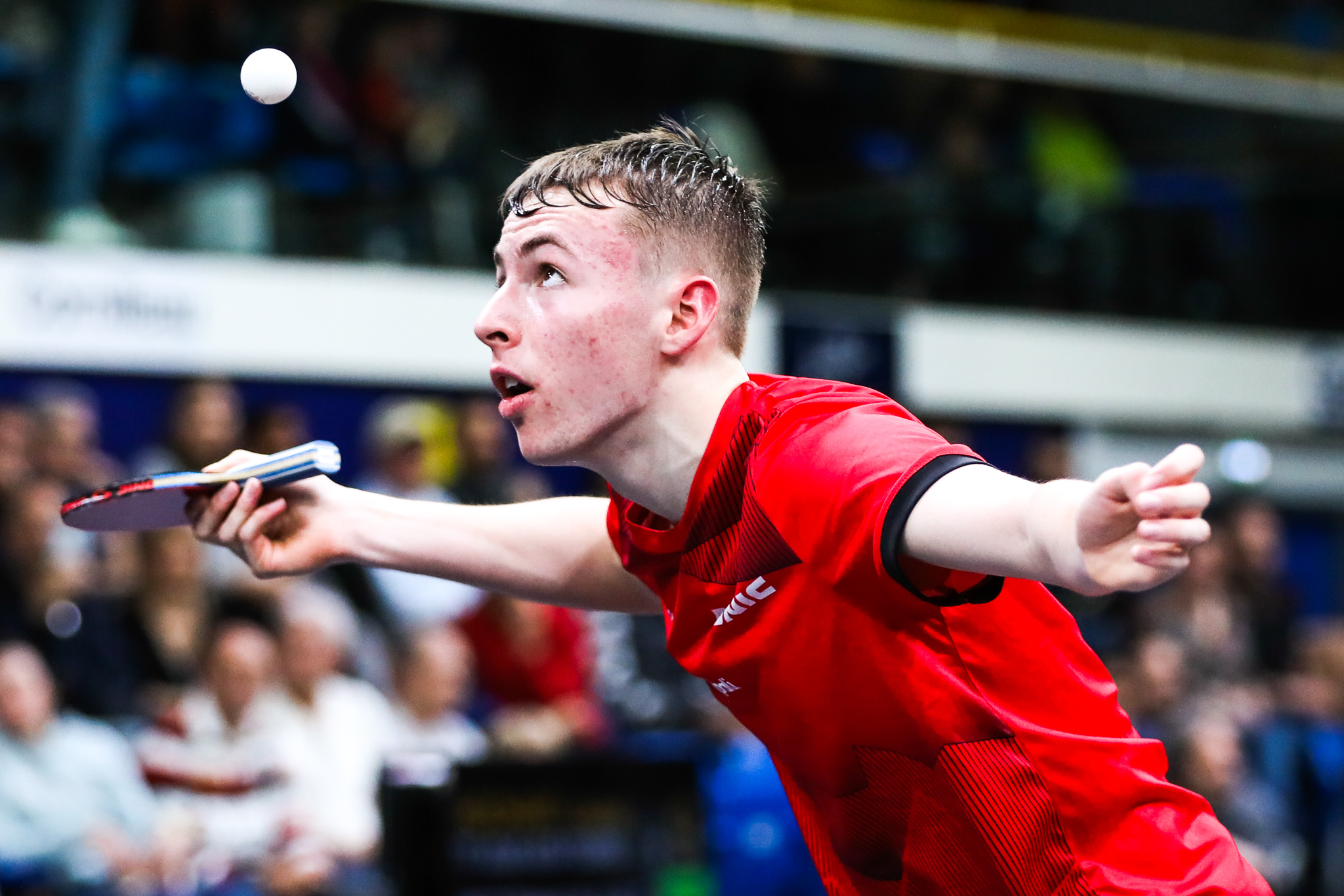 Tennis de table | La perf tonitruante du jeune prodige Flavien Coton - FFL